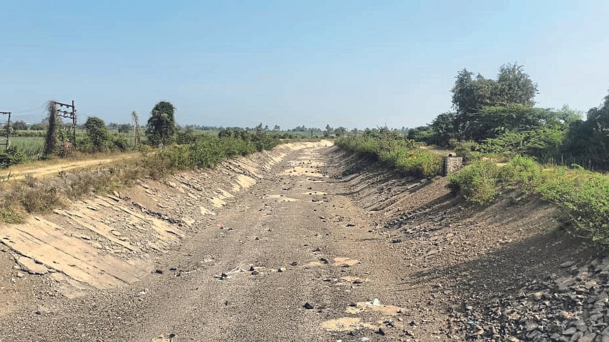 Canal Lining । कुकडी कॅनॉलच्या अस्तरीकरणाची मागणी । Demand for Lining ...