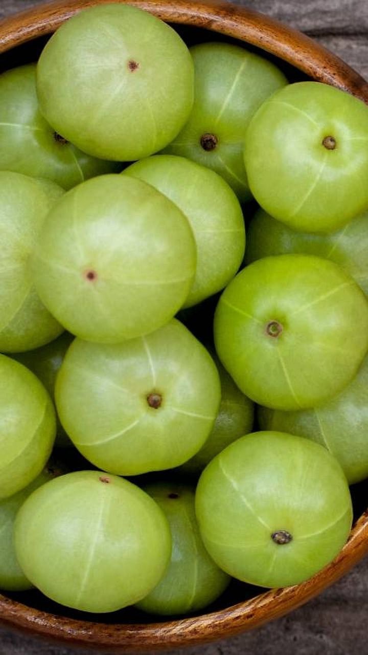 Amla benefit : दररोज आवळा खा निरोगी रहा! | Eat amla daily and stay healthy!