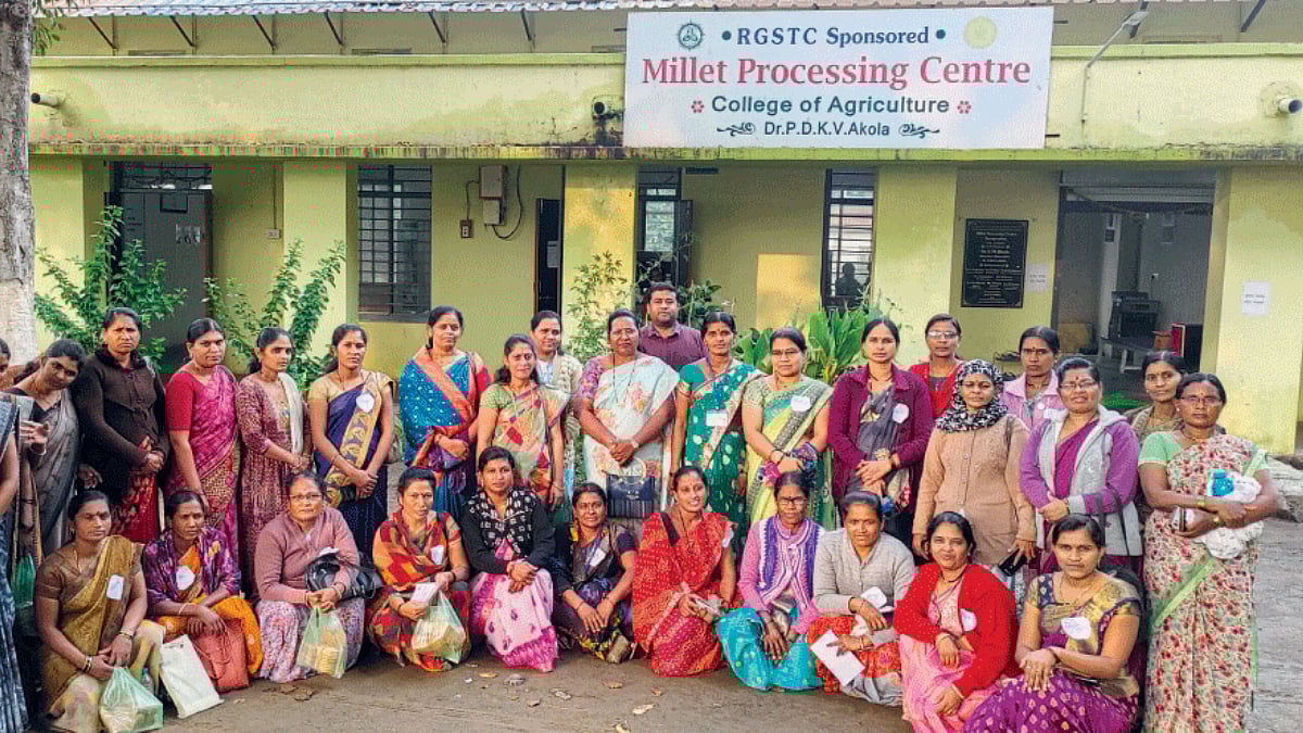 Coarse Grain Production | अकोला येथील कृषी विद्यापीठात भरडधान्यांपासून ...