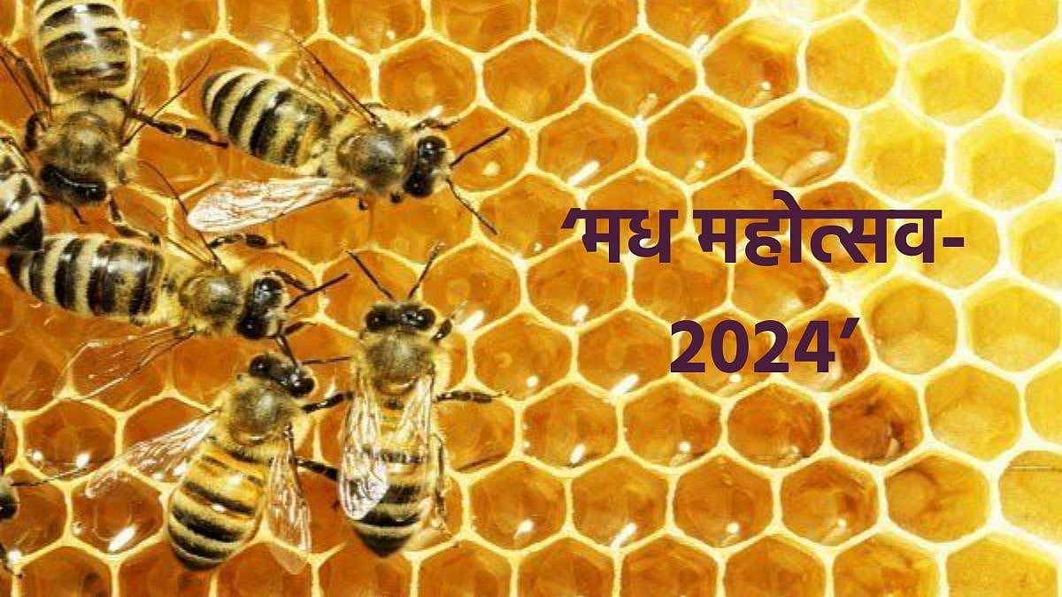 Madh Mahotsav | देशातील पहिला ‘मध महोत्सव’ भरणार महाराष्ट्रात | The ...