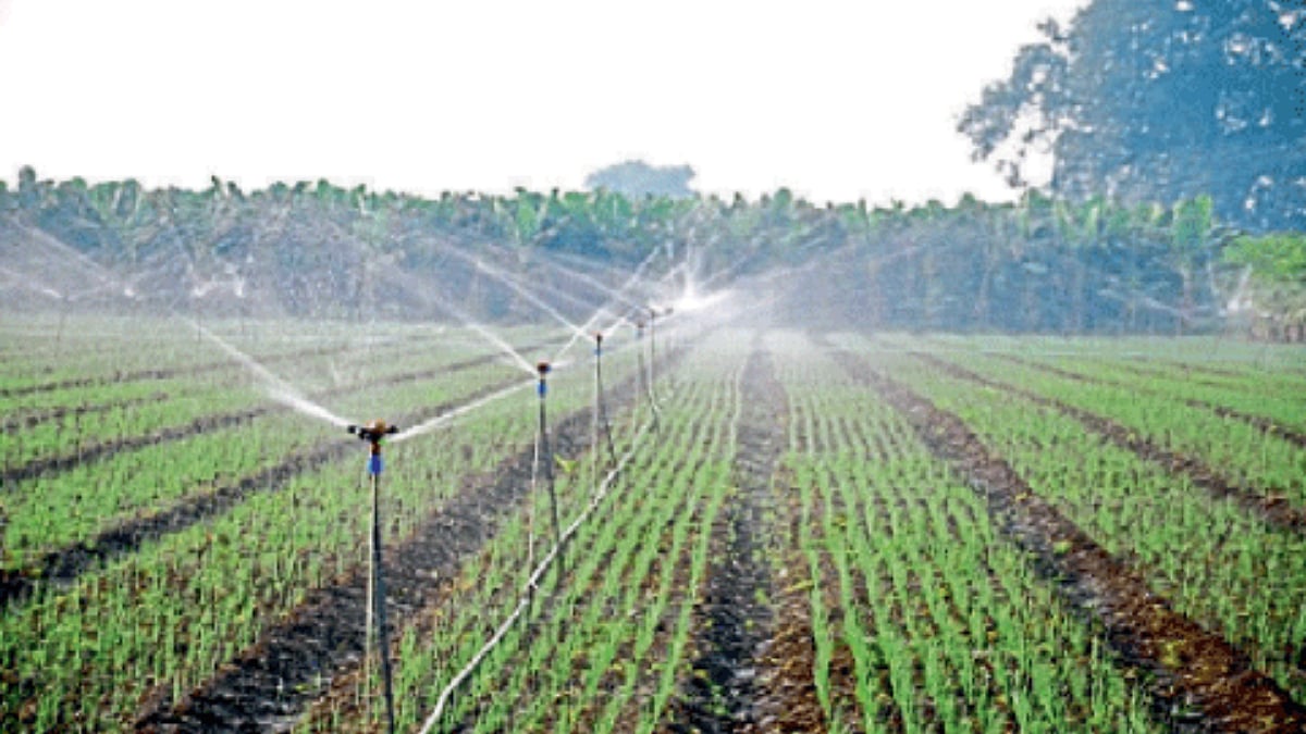 Agriculture Water Management | पाण्याचा काटेकोर वापर ही काळाची गरज ...