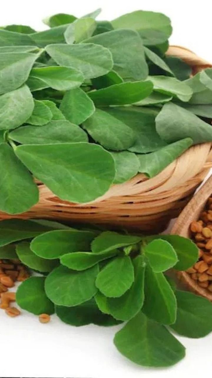 Methi Bhaji Benefits : मेथीची आरोग्यासाठी गुणकारी, हे होतील फायदे ...