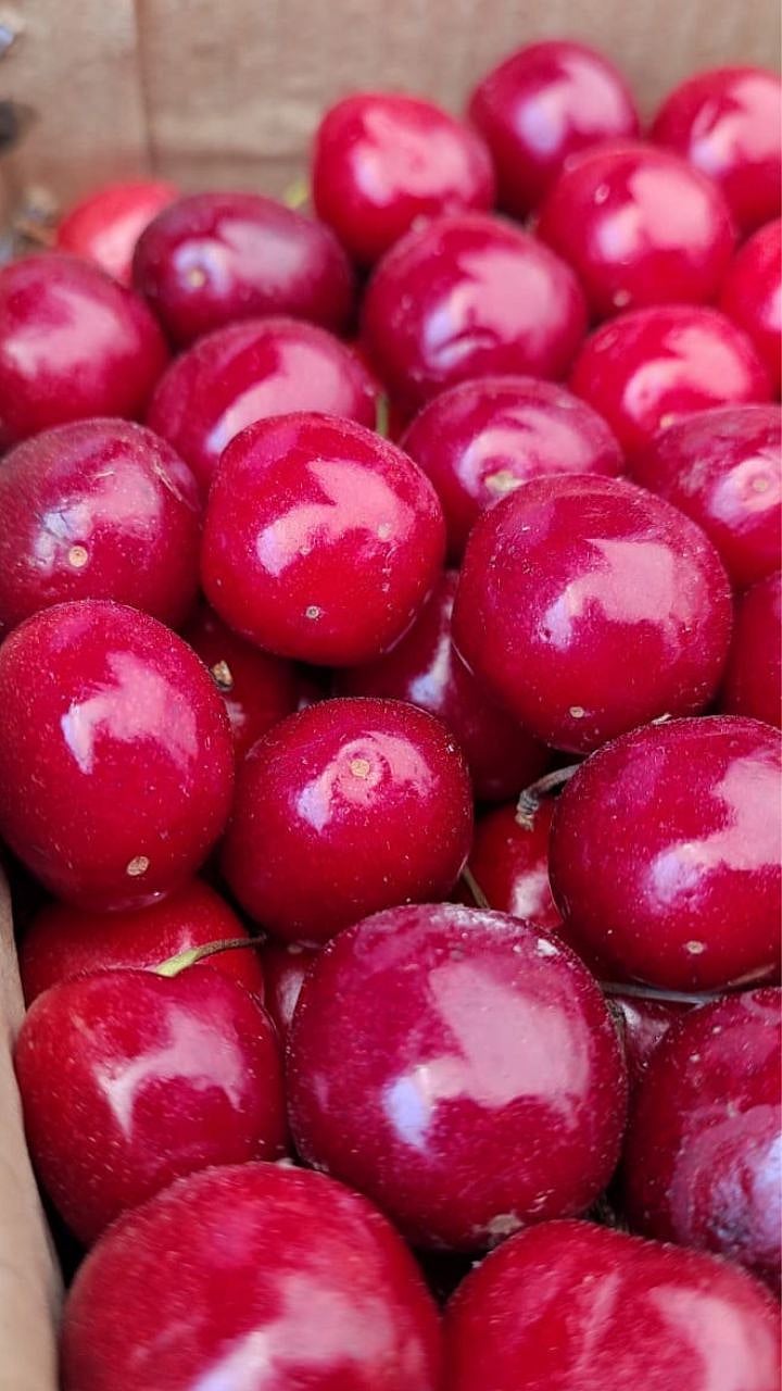 Benefits Cherries : चेरी फळ आपल्यासाठी वरदानच|Health Benefits of Eating ...