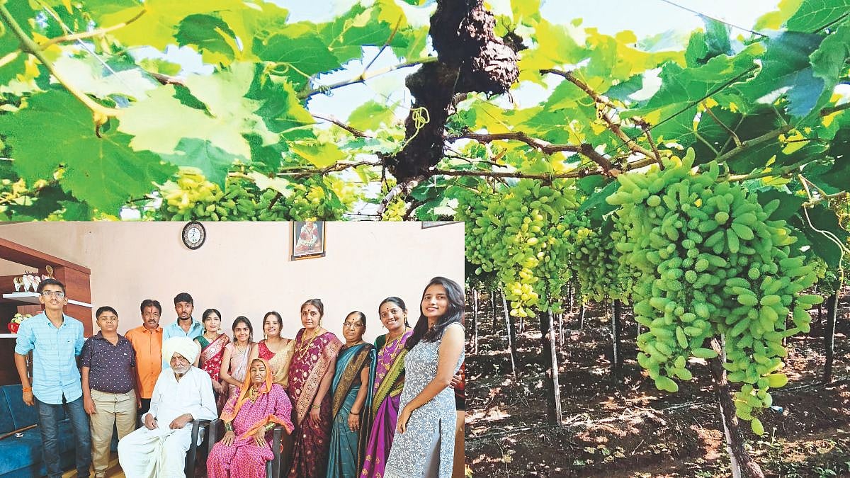 Grape Farming : प्रयोगशील शेतीतून निर्माण केले वैभव|Glory created ...