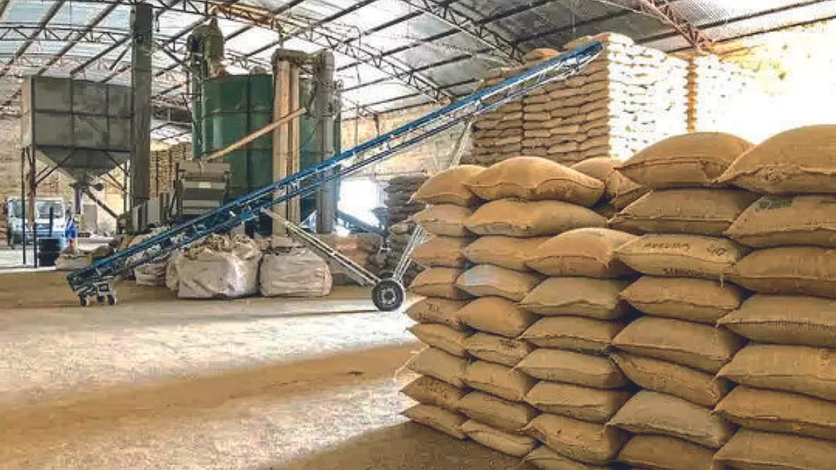 Sugar Packing : साखरेसाठी महागड्या ज्यूट गोण्यांची सक्ती नको|Don't ...
