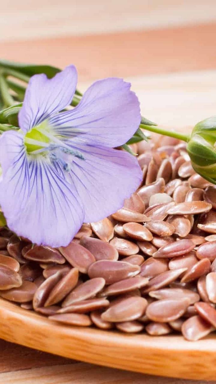 Flax Seeds | आयुर्वेदात महत्त्वाचा दर्जा असणाऱ्या जवसचे फायदे ...