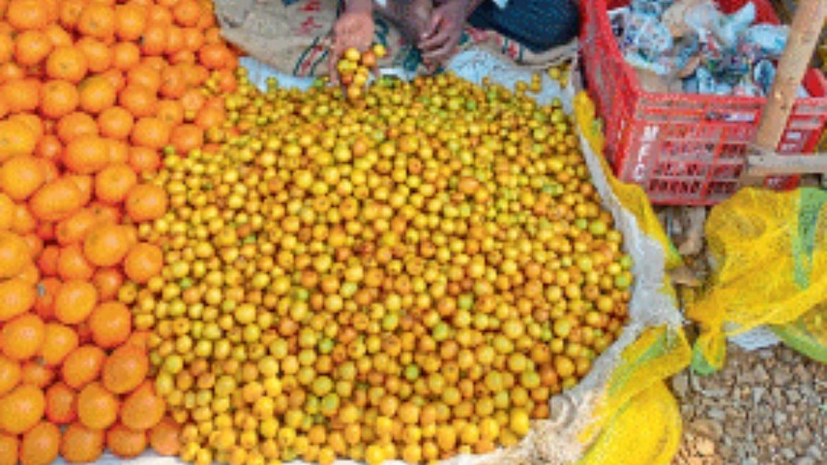 Ber Market | बाजारात संकरित बोरांची चलती | Movement of hybrid ber in ...