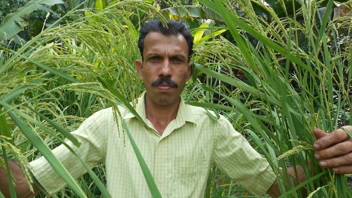 Paddy Seed Conservation । पारंपरिक भातांच्या ६५० वाणांचं संवर्धन करणारा ...
