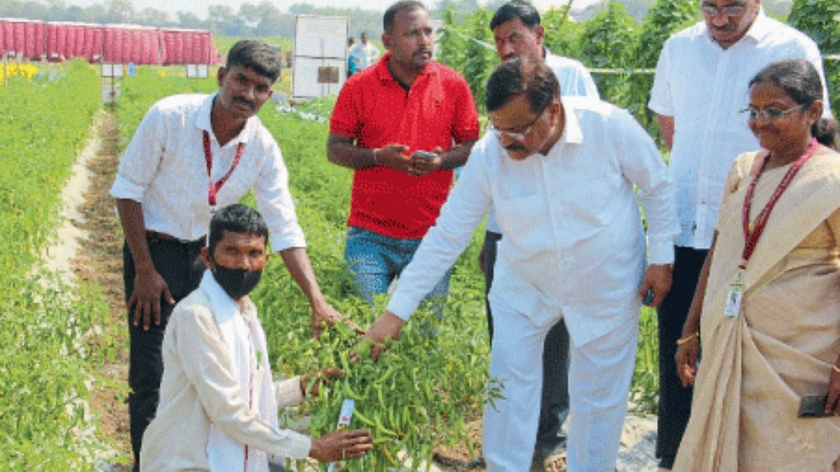 Integrated Farming | एकात्मिक शेती पद्धतीचा अवलंब करावा | Integrated ...