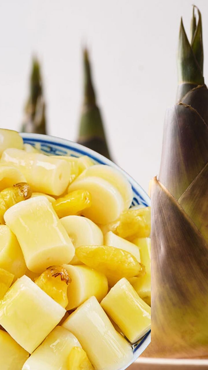 Candy Making From Bamboo Shoots|बांबू कोंबांचा गोडवा कॅण्डींला|Method ...