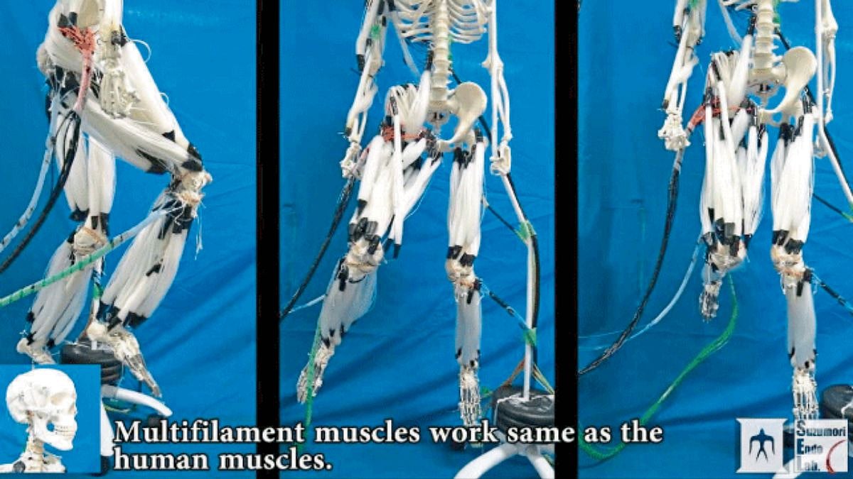 Robot Technology | स्नायूंच्या उतीद्वारे दोन पायांवर चालेल यंत्रमानव |A ...