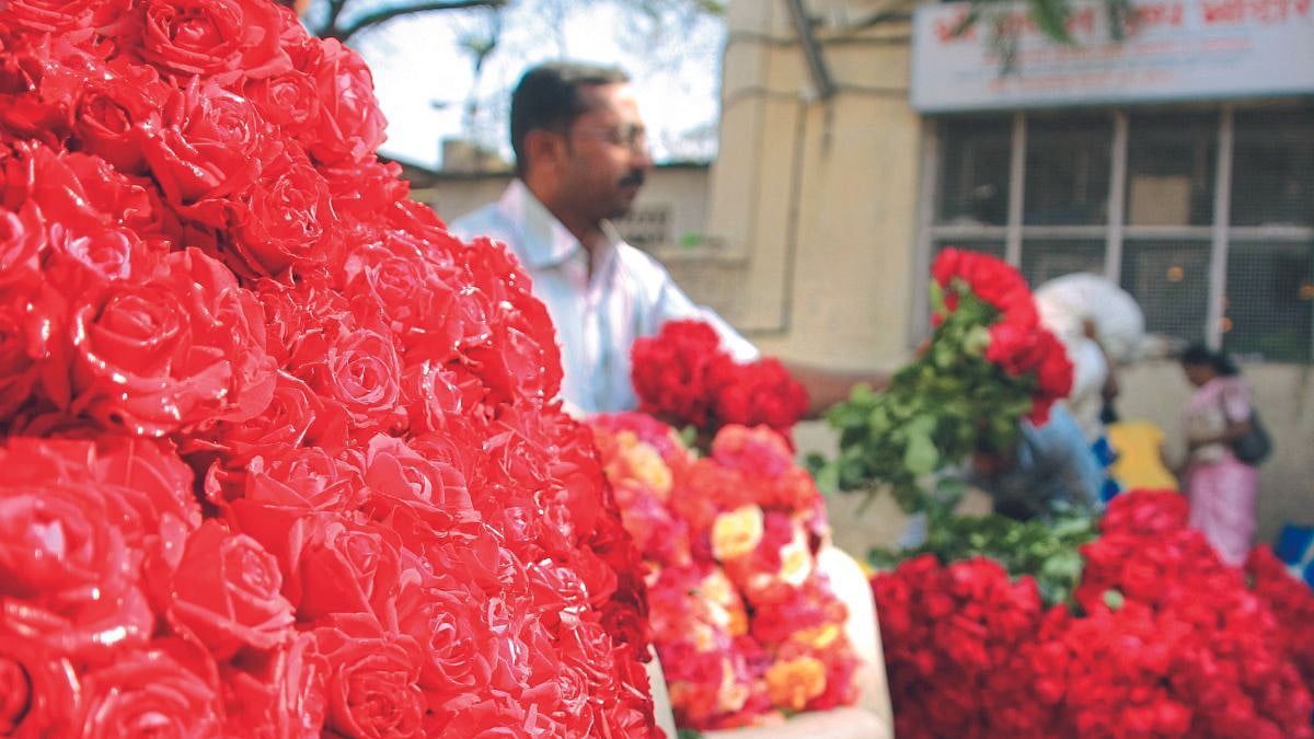 Rose Flower Demand । ‘व्हॅलेंटाइन डे’मुळे गुलाब फुलांना उठाव । Demand ...