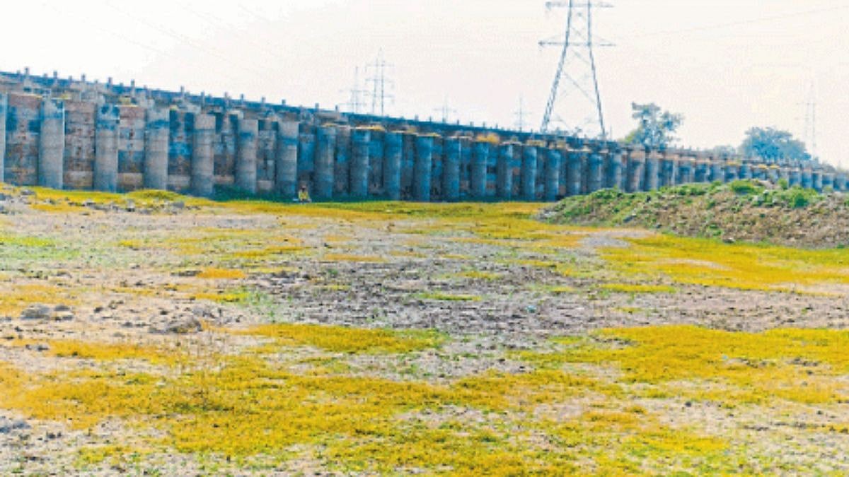 Water Scarcity | दिघंची बंधारा ‘टेंभू’च्या पाण्याने भरा | Fill the ...
