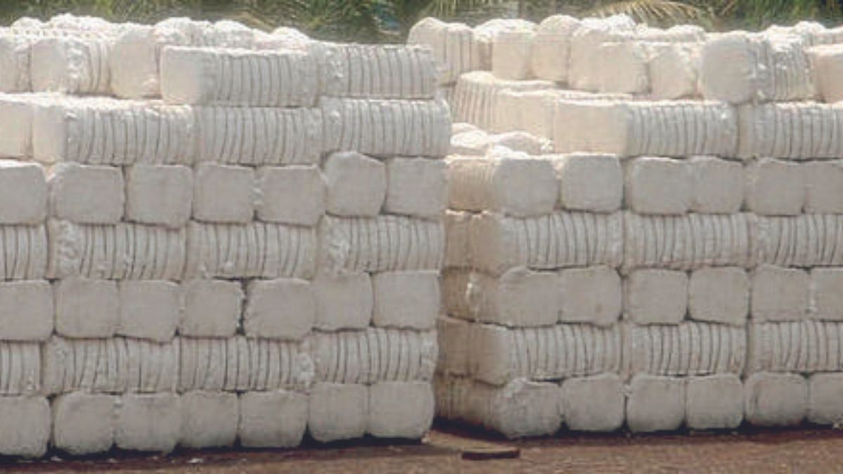Cotton Bales । शेतकरी गटांनी बनवल्या सहाशेवर कापूस गाठी । Six hundred ...
