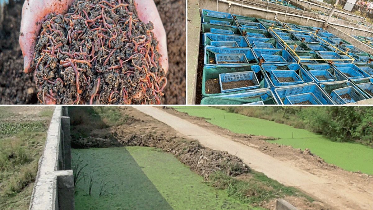 Wastewater Management | सांडपाणी प्रक्रियेचे सोपे तंत्रज्ञान देईल ...