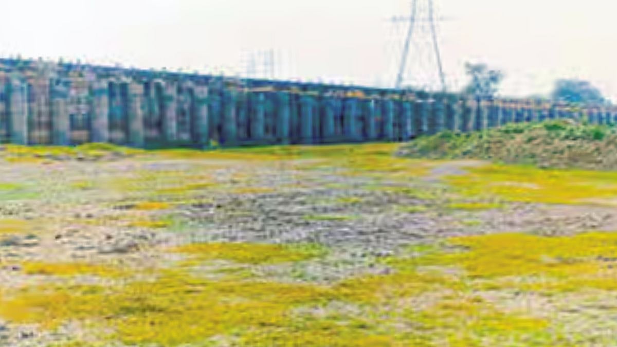 Water Crisis | ‘दिघंची’ कोरडाच, ‘टेंभू’चे पाणी असूनही टंचाई | 'Dighnchi ...