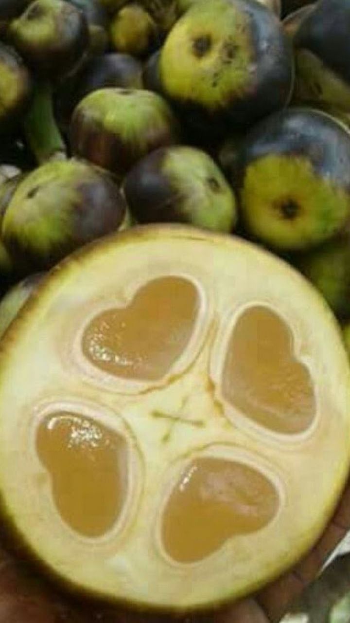 Ice Apple । उन्हाच्या असह्य झळांना गारेगार ताडगोळ्याचा उतारा । Ice ...