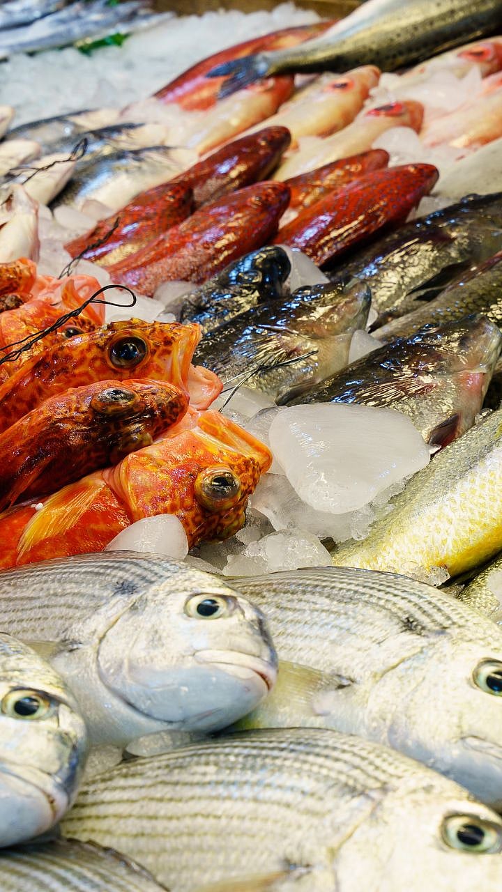 Fish Preservation : या पद्धतीने जास्त दिवस टिकतील मासे|What are the ...