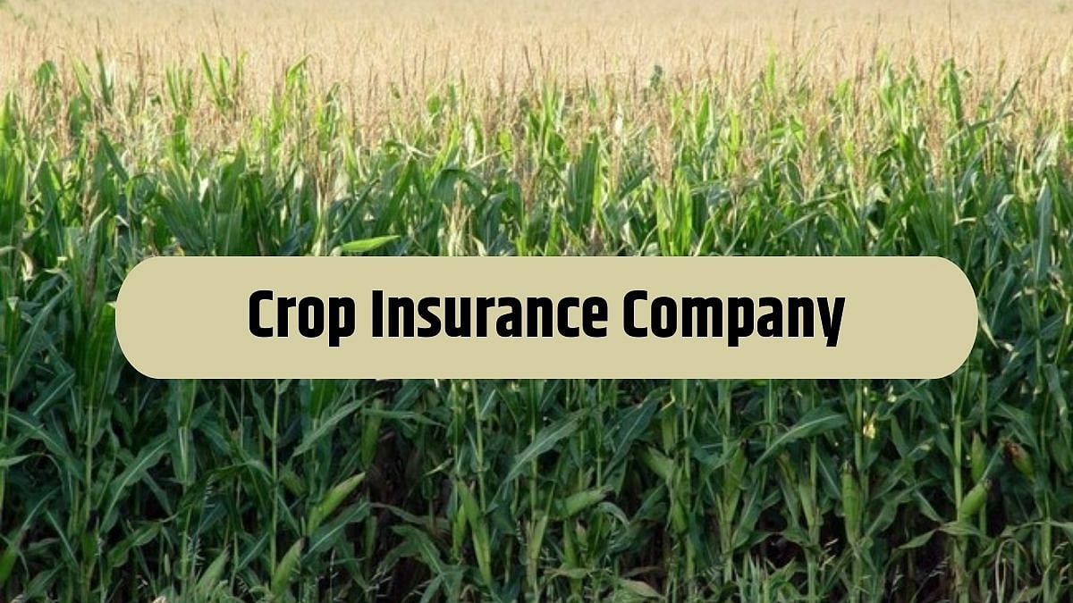 Crop Insurance Company | विमा कंपनीच्या कर्मचाऱ्यांना मारहाण | Assault ...