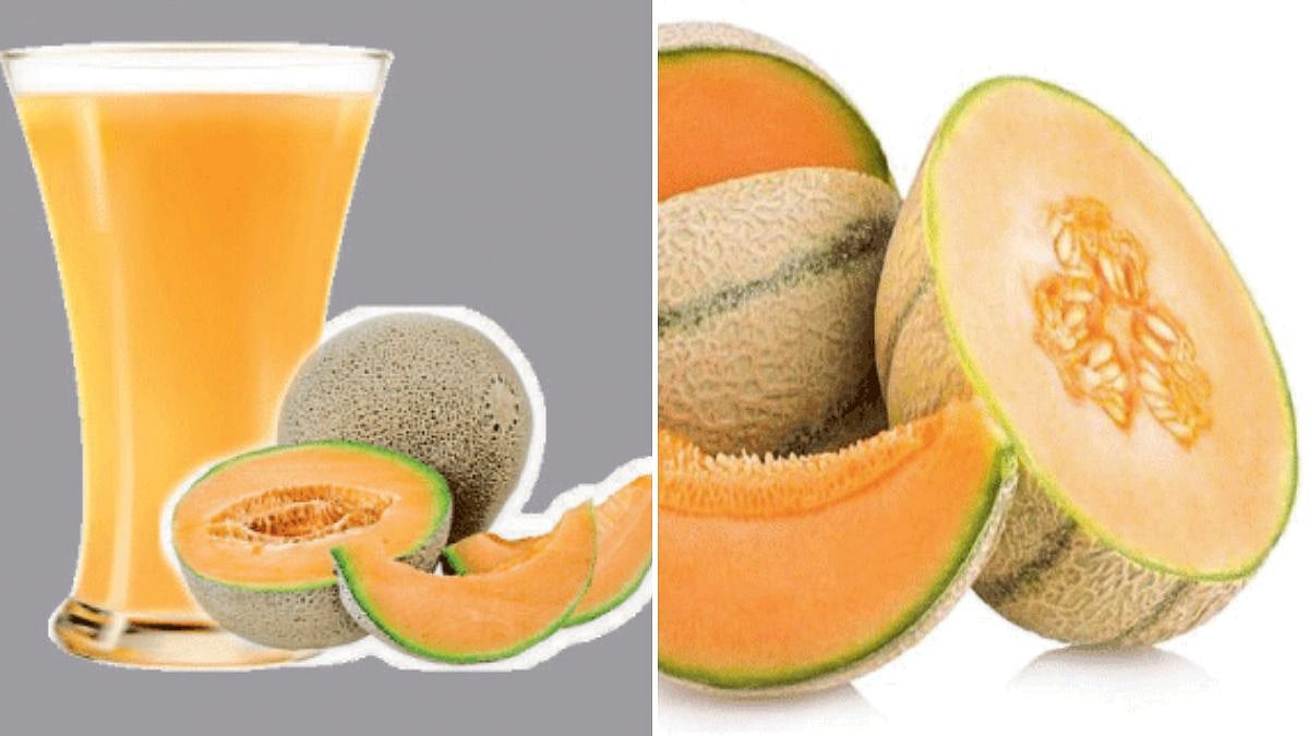Muskmelon Processing : खरबूजापासून पावडर, जेली, सिरप बनवुयात | Powder ...