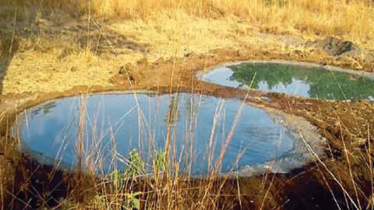 Water Shortage । उन्हाच्या तीव्रतेने प्राण्यांच्या जिवाचीही‌ काहिली ...