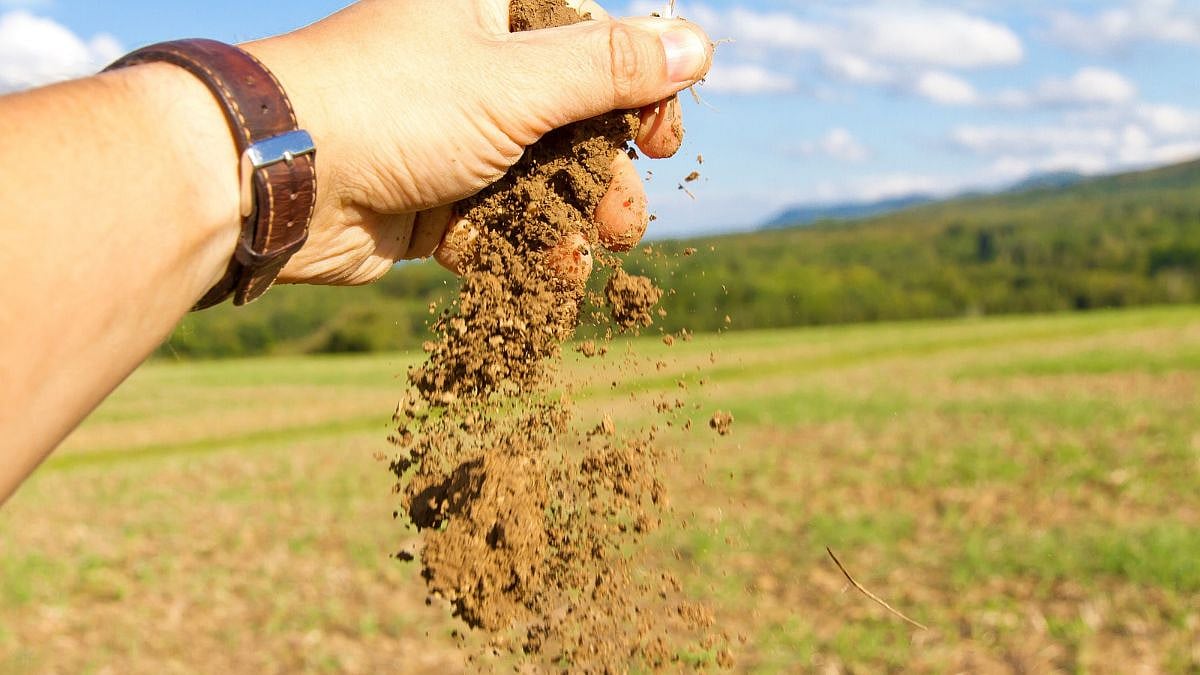 Soil Nutrient Index | मातीतील पोषणद्रव्यांचा निर्देशांक | Soil Nutrient ...