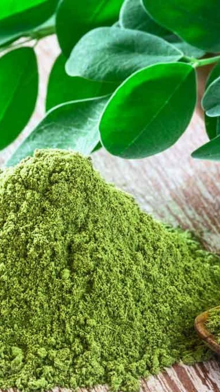 Shevaga Leaf : शेवगा पानाच्या पावडरचे महत्व अनन्यसाधारण|Importance of ...