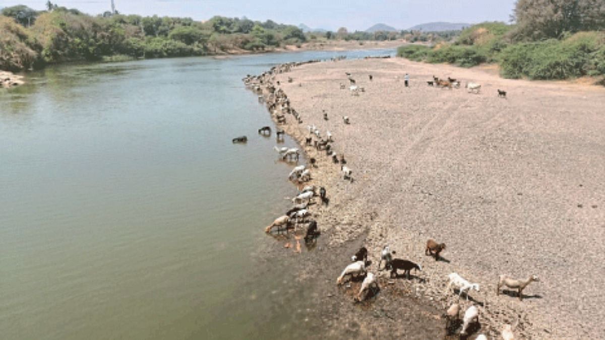 Chankapur Dam | चणकापूरच्या आवर्तनाचा कसमादेतील गावांना दिलासा | A ...