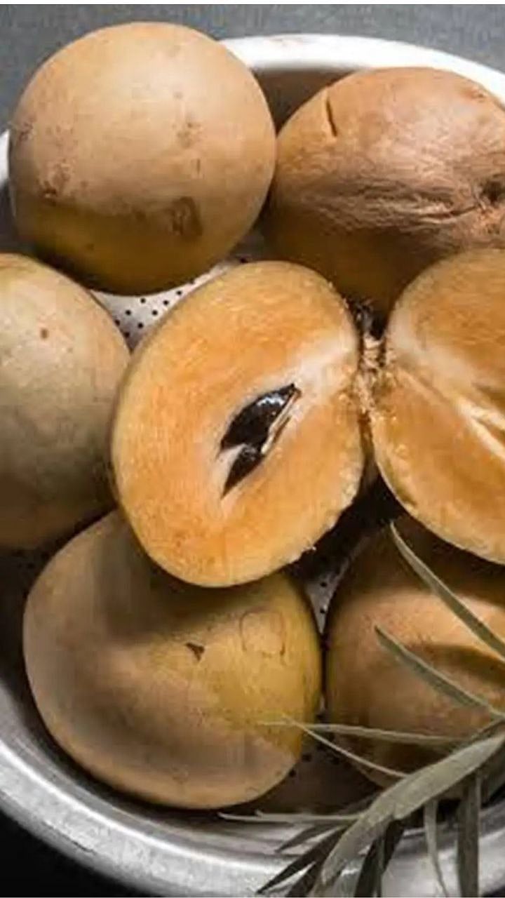 Chiku Fruit : कष्टाची कामे करणाऱ्यांनी 'हे' फळ नियमित खावे|Chiku Fruit ...