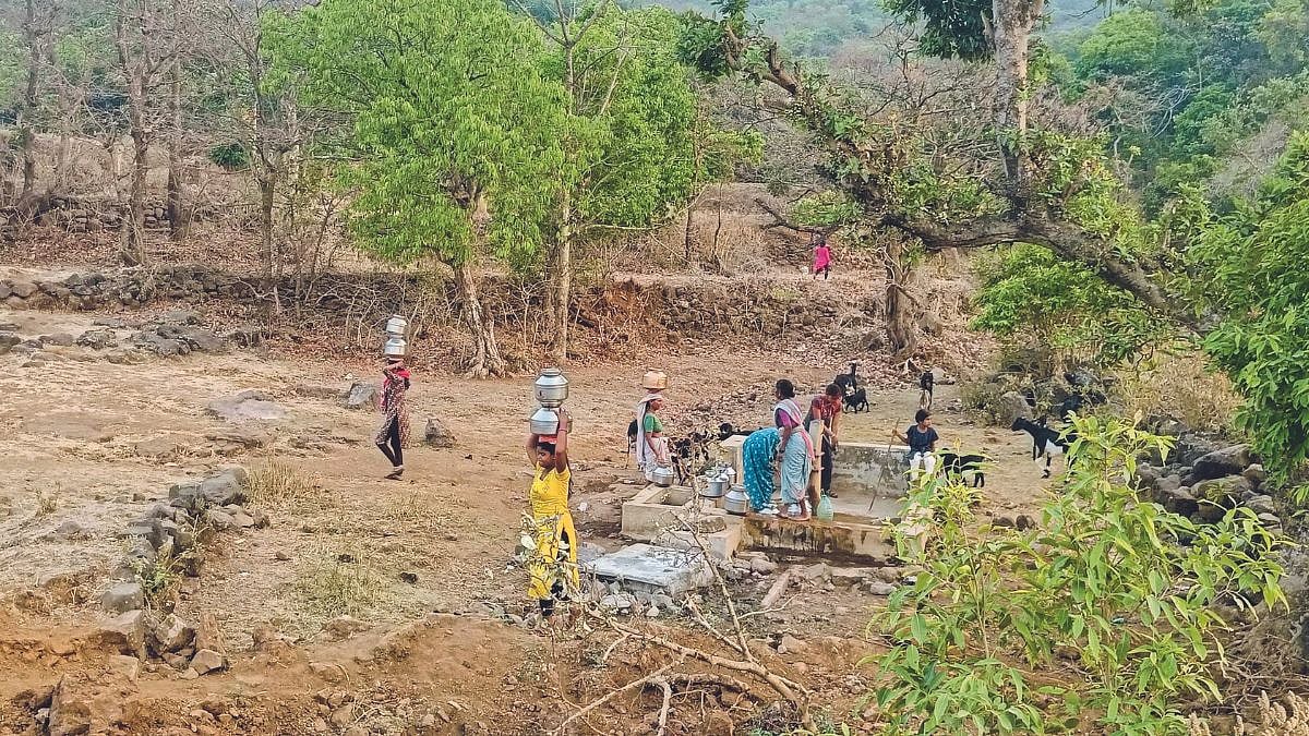 Water Crisis । उष्णतेने पुणे जिल्ह्यातील अकरा धरणे कोरडी । Eleven dams ...