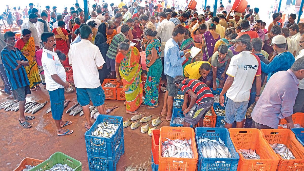 Fish Market । पर्यटन हंगामामुळे मासळीचे दर वाढले । Due to the tourist ...