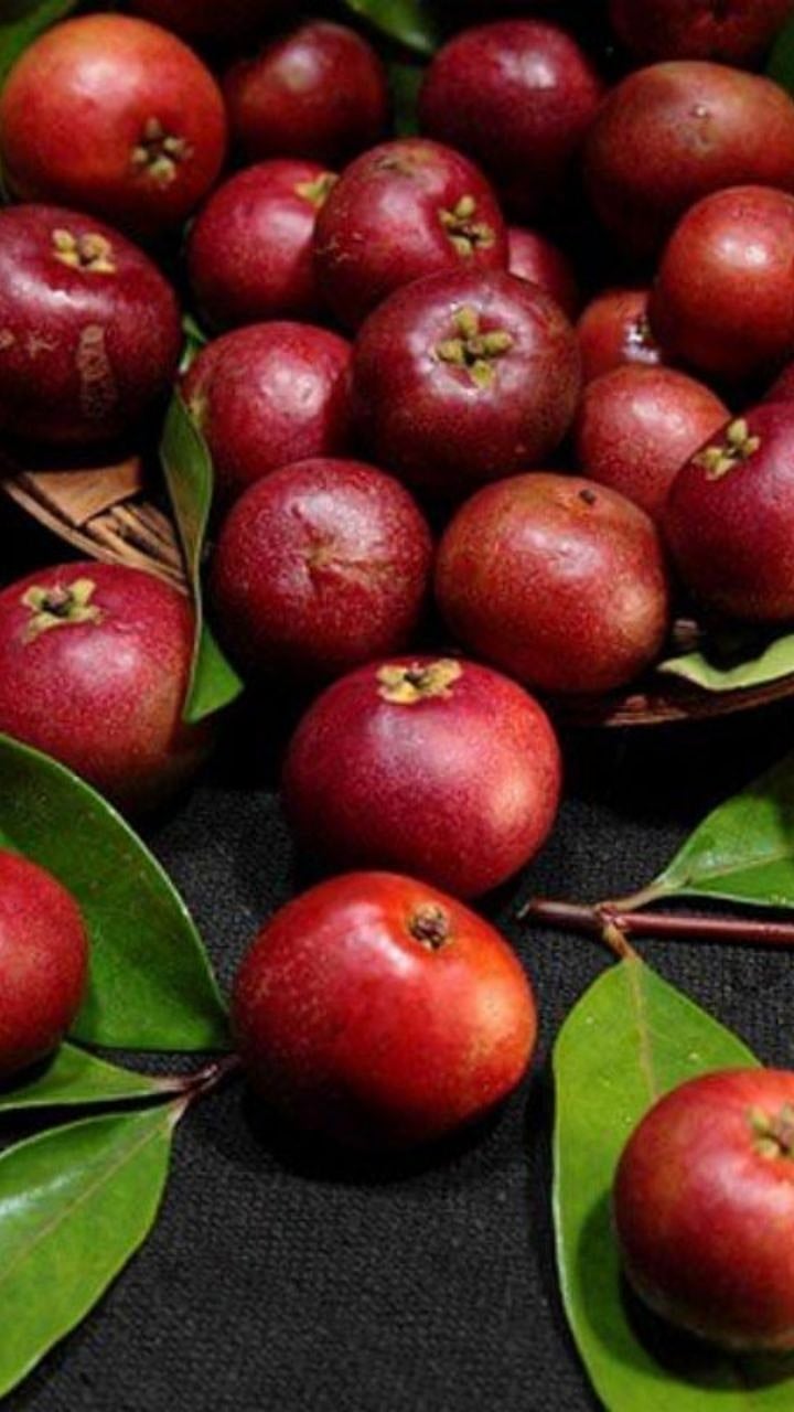 Kokam Sarbat : गुणकारी कोकम आरोग्यासाठी फायदेशीर असण्याची कारणे|Health ...
