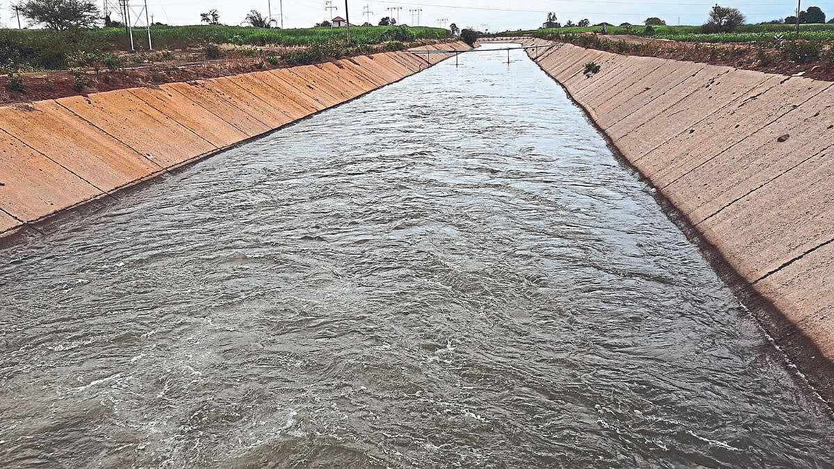 Agriculture Irrigation । नीरा उजव्या कालव्याचे पाणी सोडण्याची मागणी ...