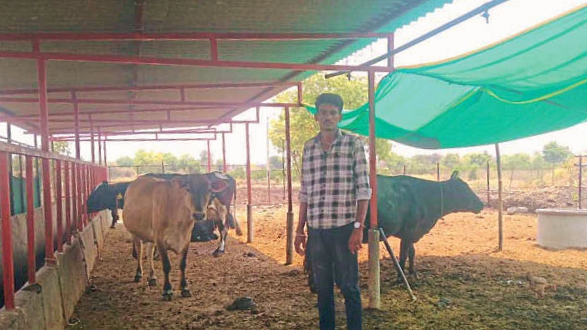Farmer Issue | ‘जनावरे विकायला जावे, तर घेण्यास कुणी नाही’ |"If animals ...