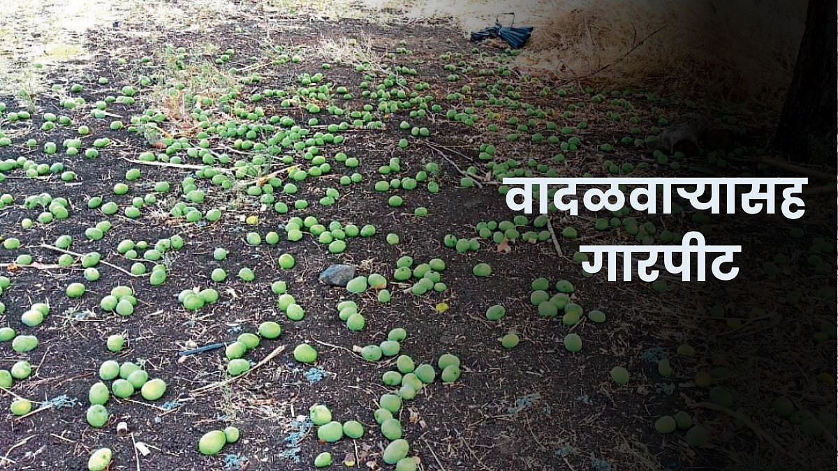 Unseasonal Rain | उमरगा तालुक्यात वादळवाऱ्यासह गारपीट | Hailstorm with ...