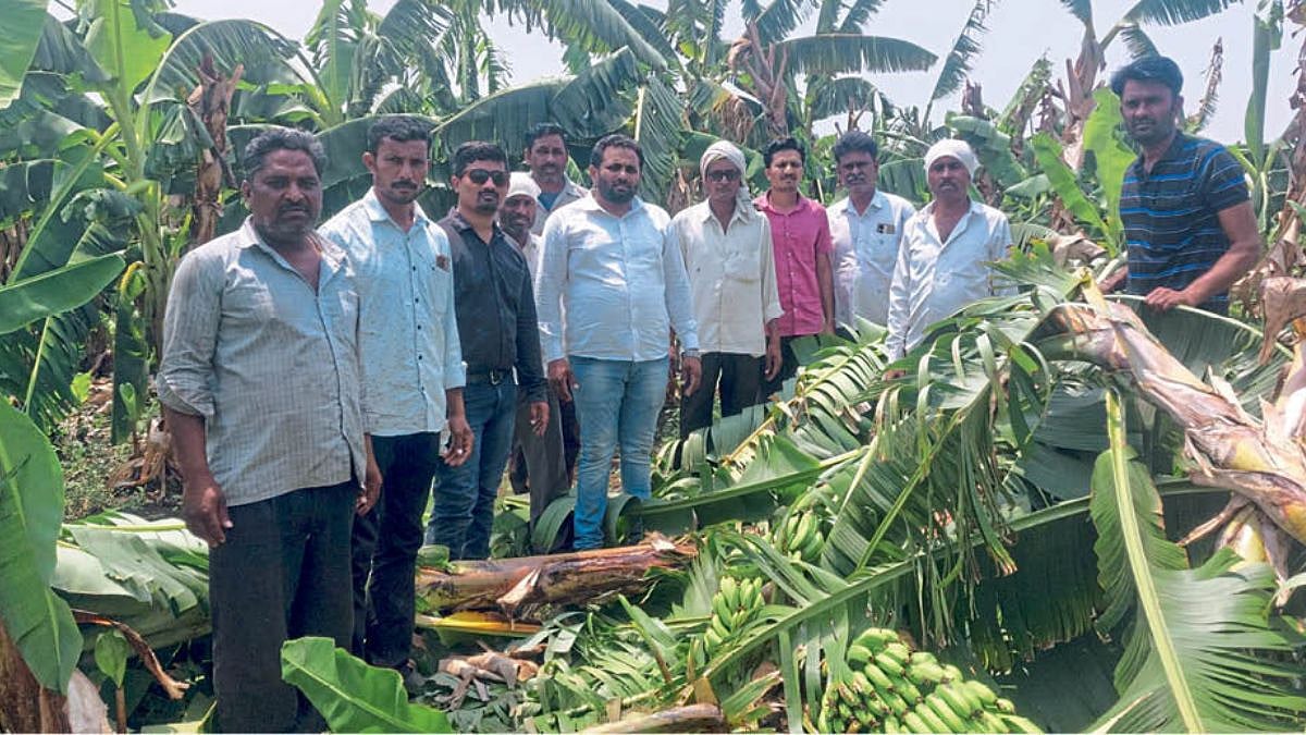 Unseasonal Rain । यावल, अमळनेर तालुक्यांत वादळी तडाखा । Thunderstorm ...