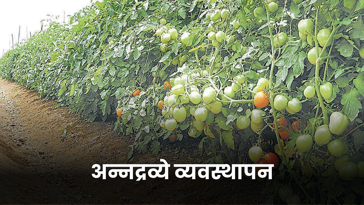 Crop Nutrient Management |पीक उत्पादनवाढीसाठी अन्नद्रव्ये व्यवस्थापन ...