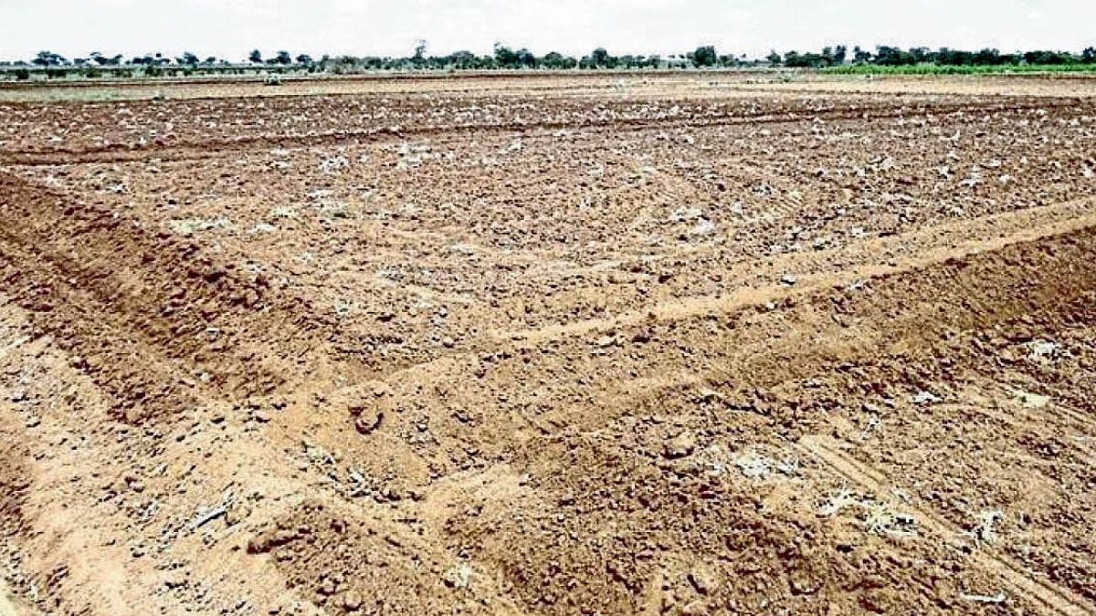 Agriculture Soil Health | जमीन सुपीकतेसाठी उपाययोजना | Solution for ...
