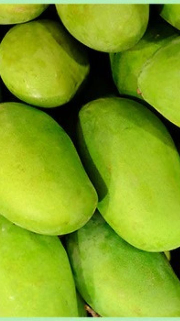 Mango Benefits : पिकलेला आंबा की कच्ची कैरी आरोग्याला नेमकं काय चांगलं ...