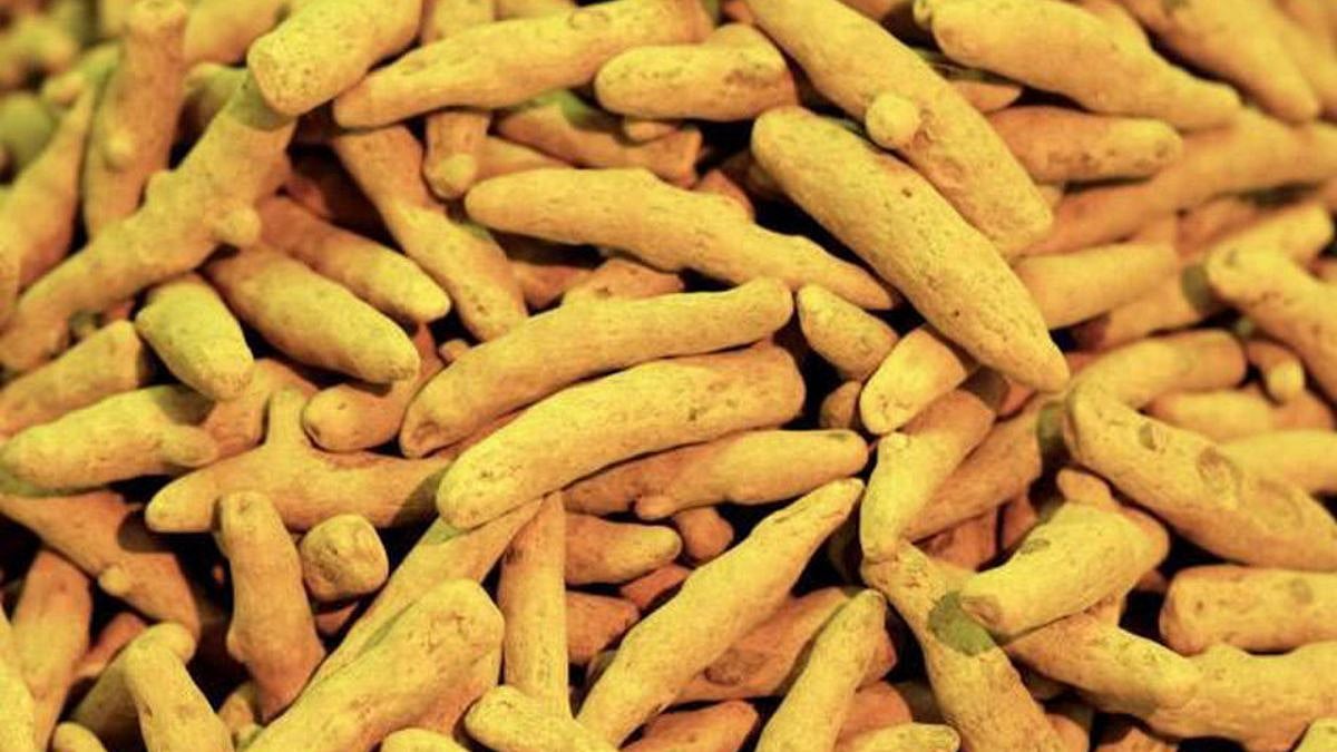 Turmeric Rate | वर्षभरात हळदीला मिळाले ५,८९८ ते १६,०७४ रुपये दर ...
