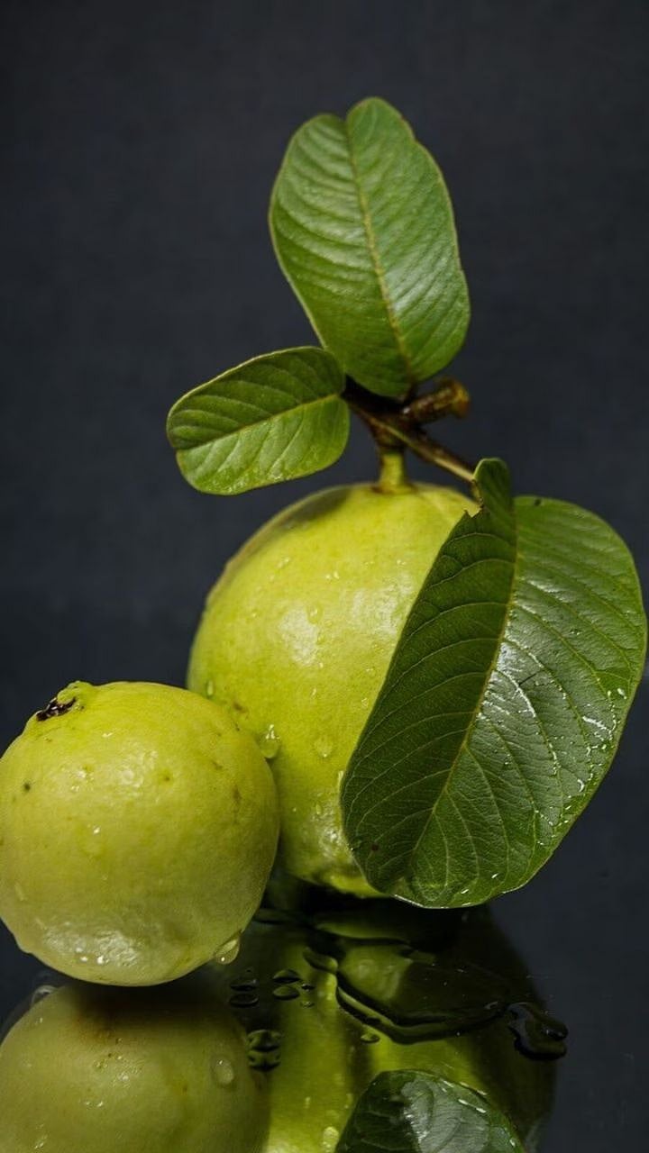 Guava leaf |पेरूच्या पानांचे सेवक करा राहाल अनेक रोगांपासून दूर मिळतील ...