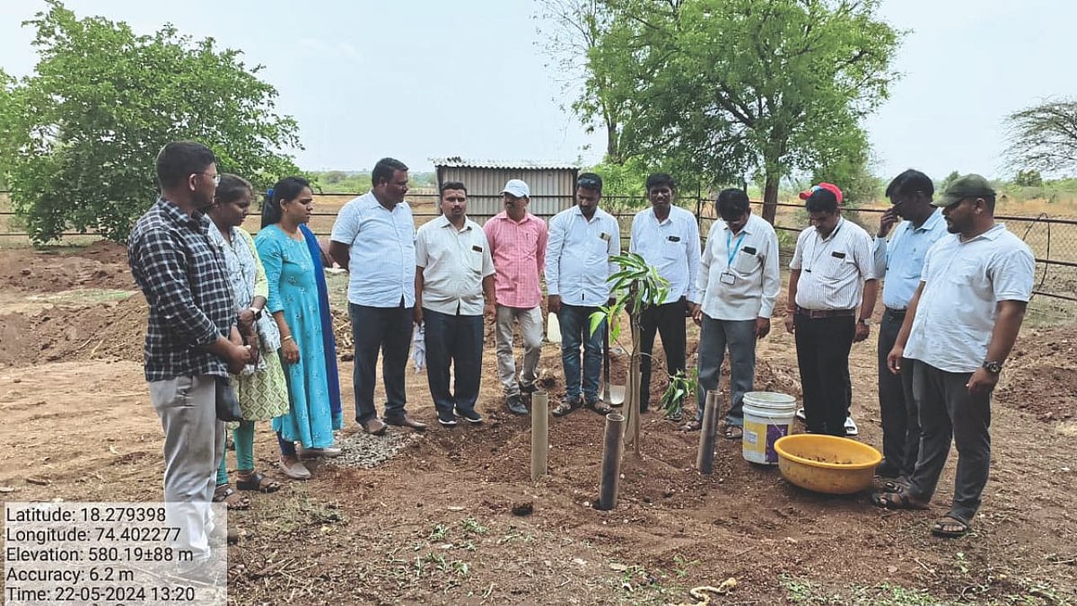 Orchard Cultivation : सीआरए तंत्रज्ञानाद्वारे काऱ्हाटीत फळबाग लागवड ...