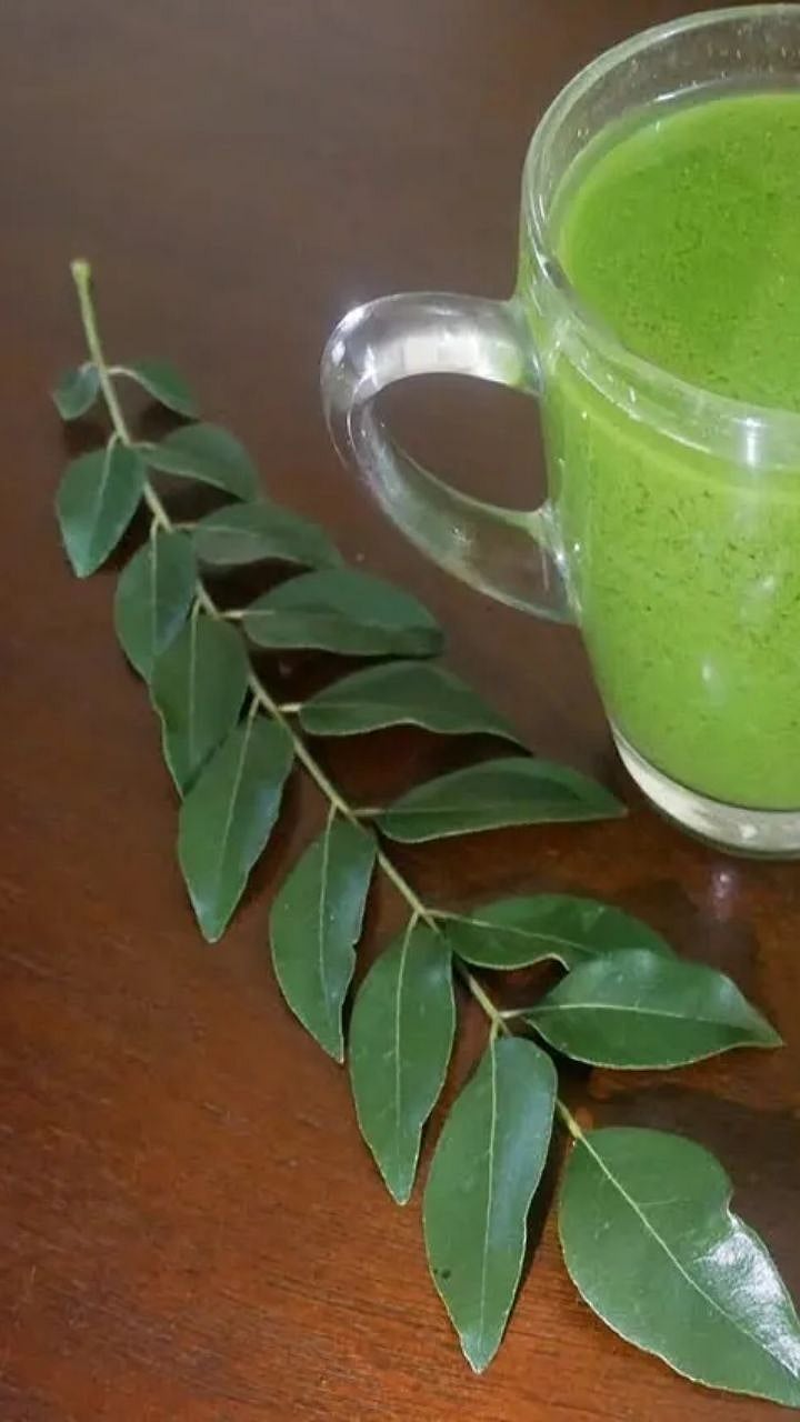Curry Leaves Water|अपचन यांसारख्या अनेक समस्या अशा होतील गायब फक्त प्या ...