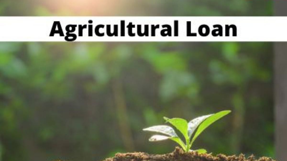 Crop Loan Distribution | तीन हजार कोटींच्या पीक कर्ज वाटपाचे उद्दिष्ट ...