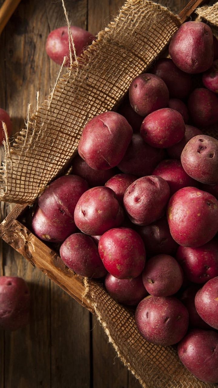 Red Potato : आज बटाटा दिवस, लाल बटाट्याचे फायदे माहिती आहेत का?|Today ...
