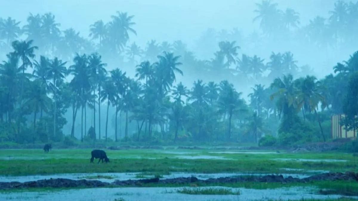 Monsoon 2024 | मॉन्सून १९ मे रोजी अंदमानात दाखल होणार; हवामान विभागाचा ...