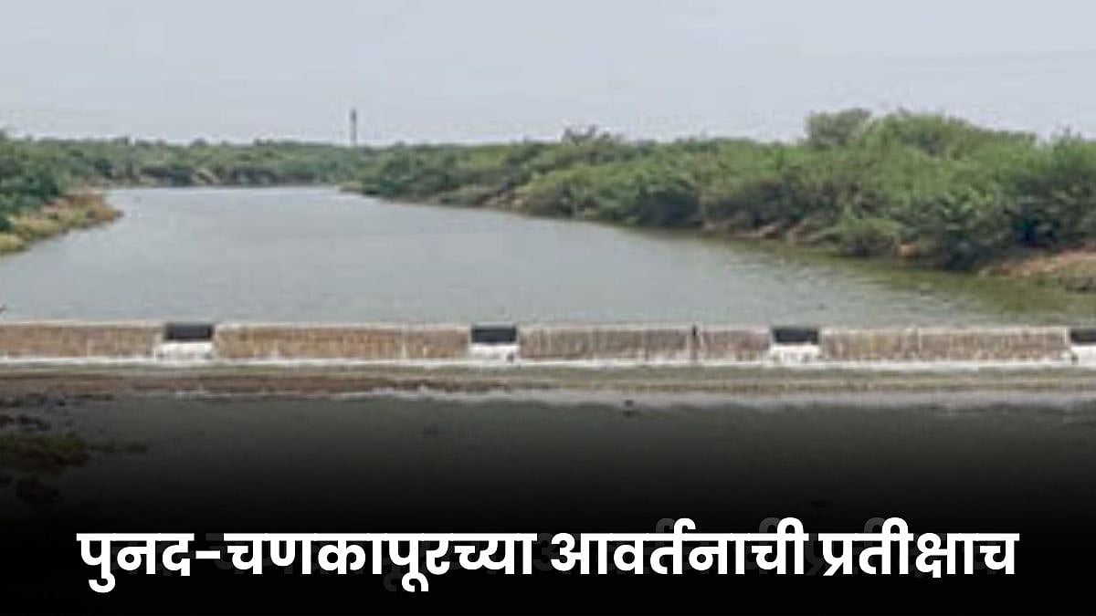 Water Scarcity | पुनद-चणकापूरच्या आवर्तनाची प्रतीक्षाच | Waiting for ...