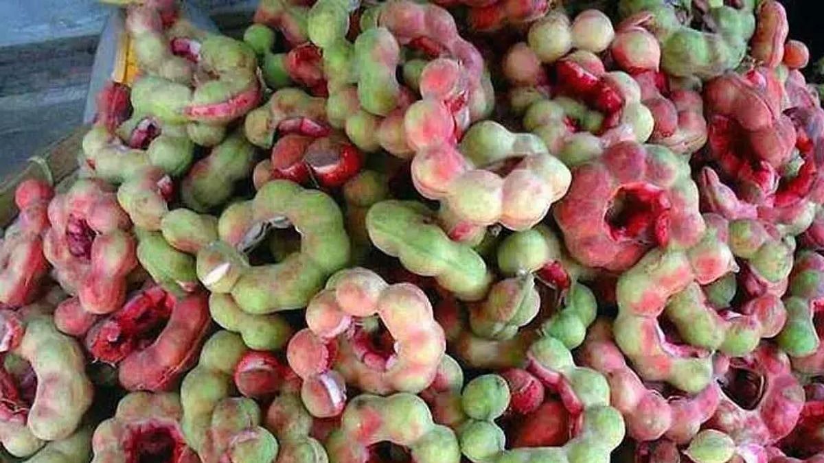 Processed food from Vilayati tamarind