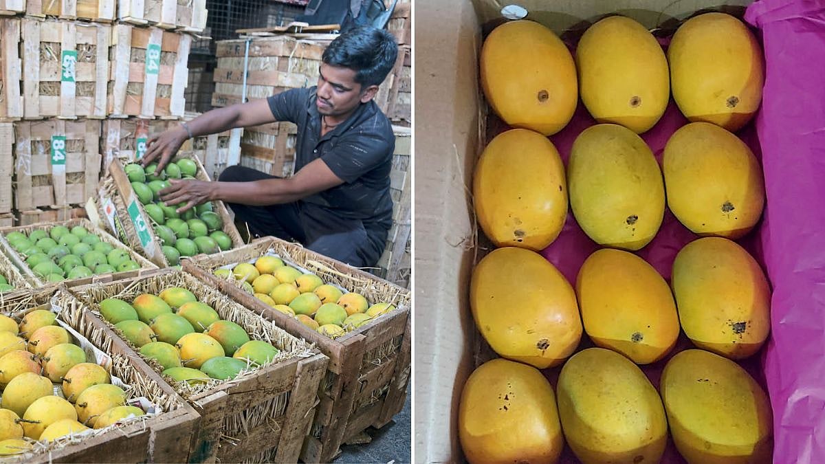 Mango Market | अक्षय तृतीयेला फुलली पुण्याची आंबा बाजारपेठ | Pune's ...