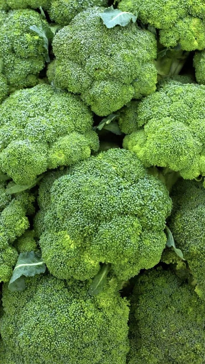 Broccoli Vegetable : फायबरयुक्त ब्रोकोलीच्या भाजीचे आरोग्यदायी फायदे ...